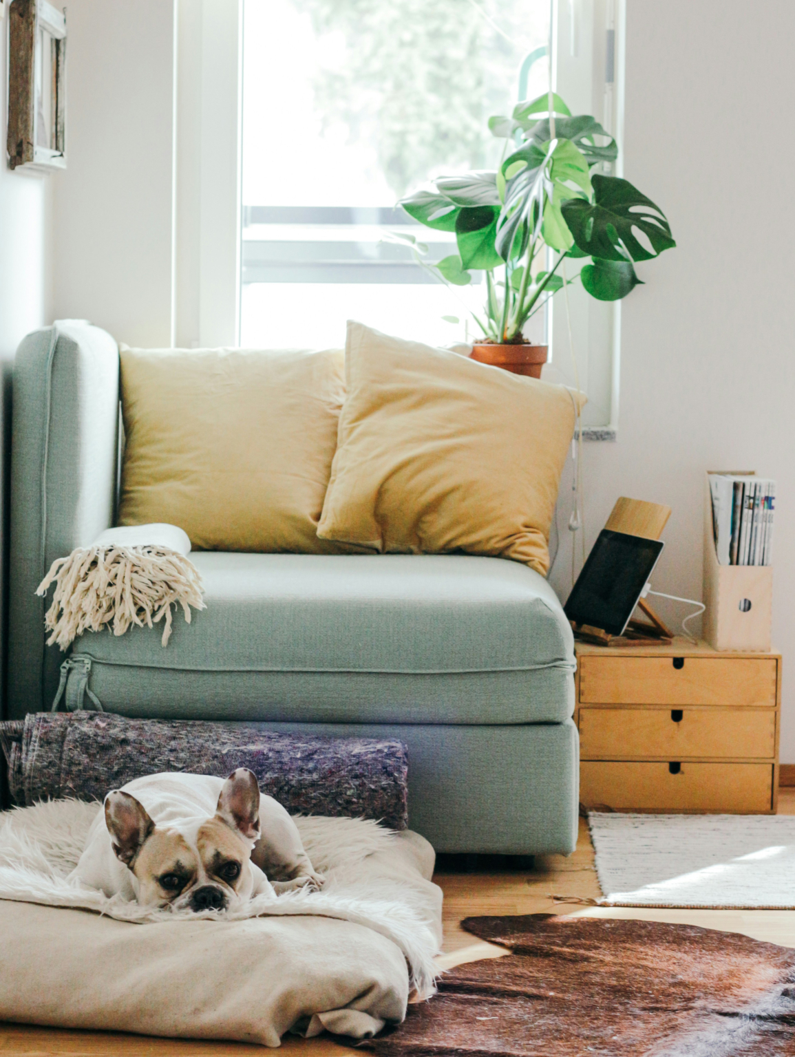Important Changes to the Residential Tenancies Act | Cowdy
